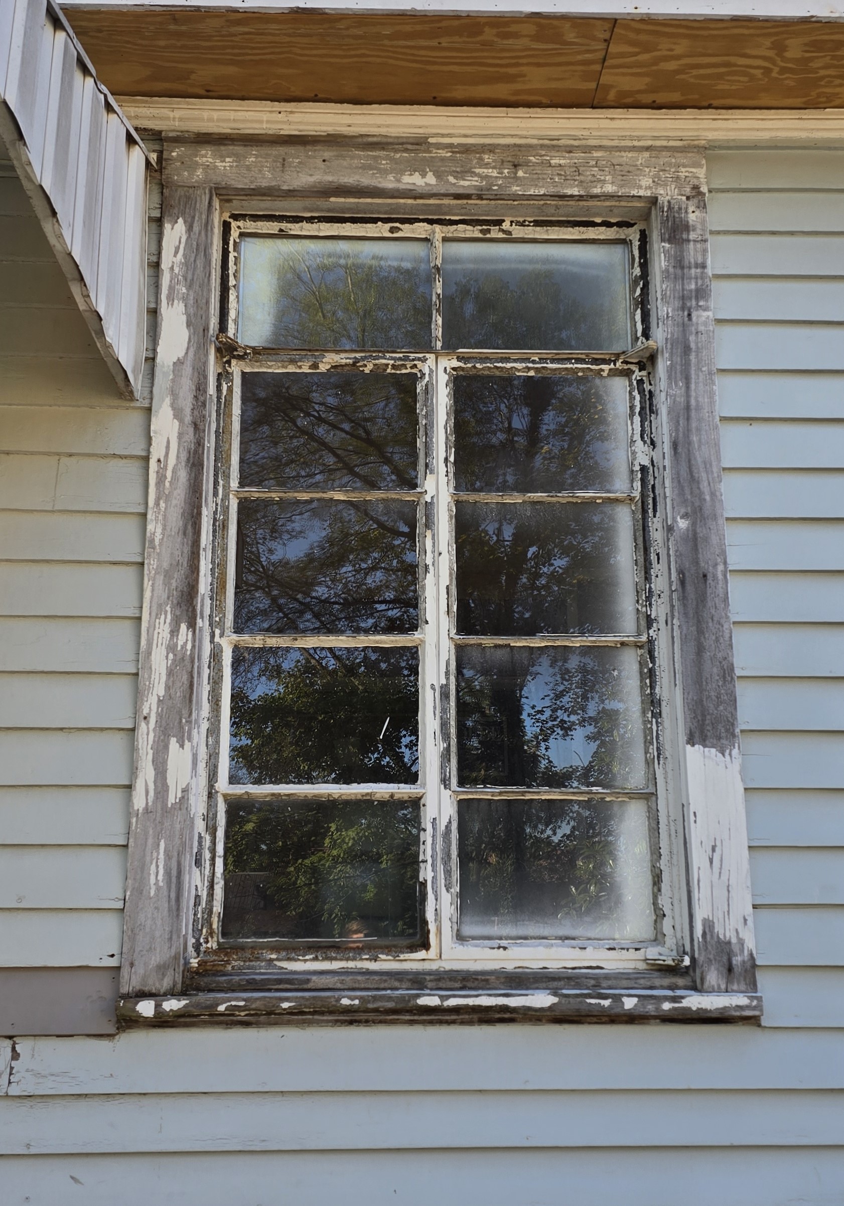 Replacement Windows and Doors - Eco-Lyfe Builders